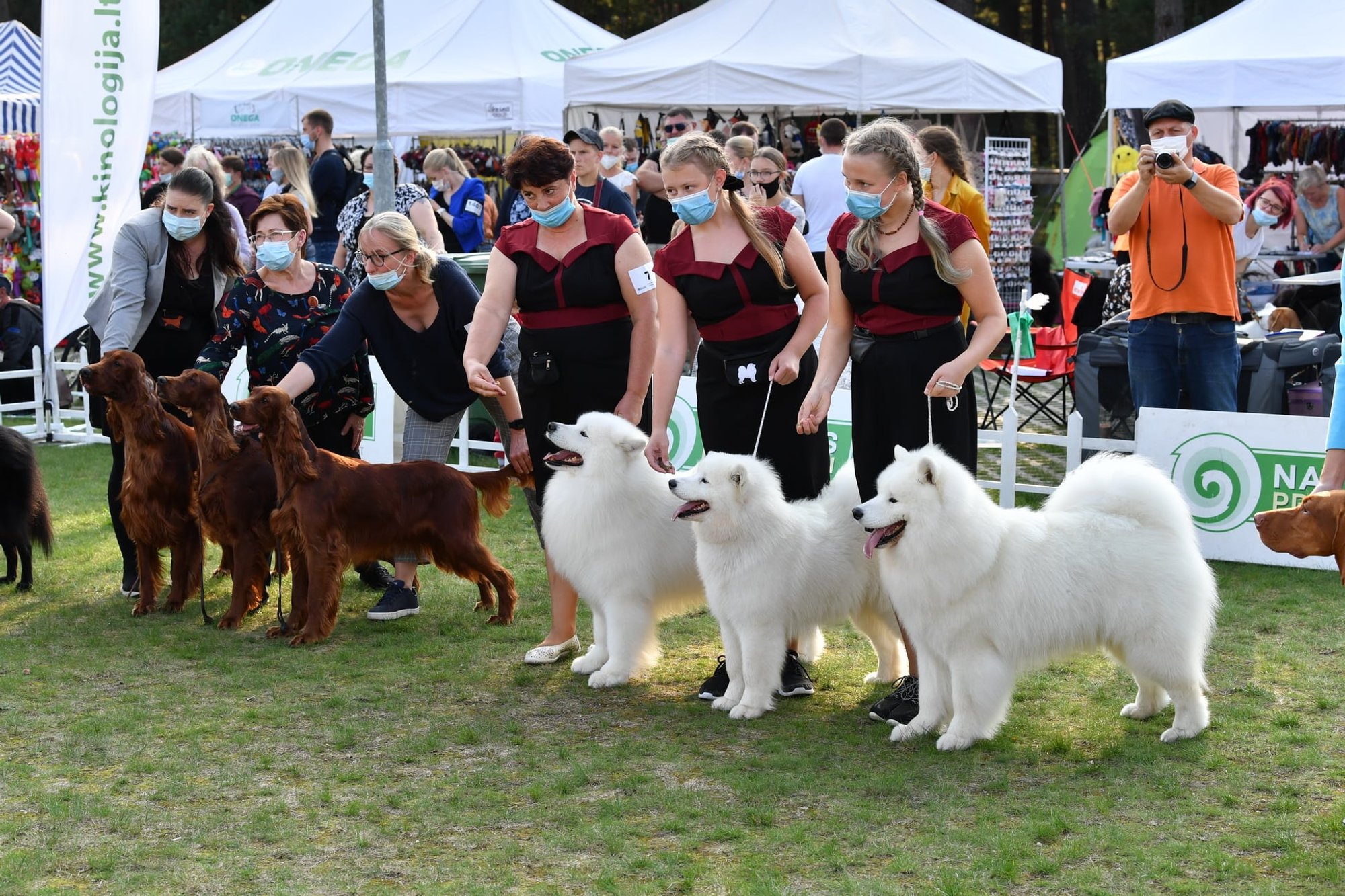 Savaitgalį Palangoje vyko šunų parodos: pamatykite gražiausius ...