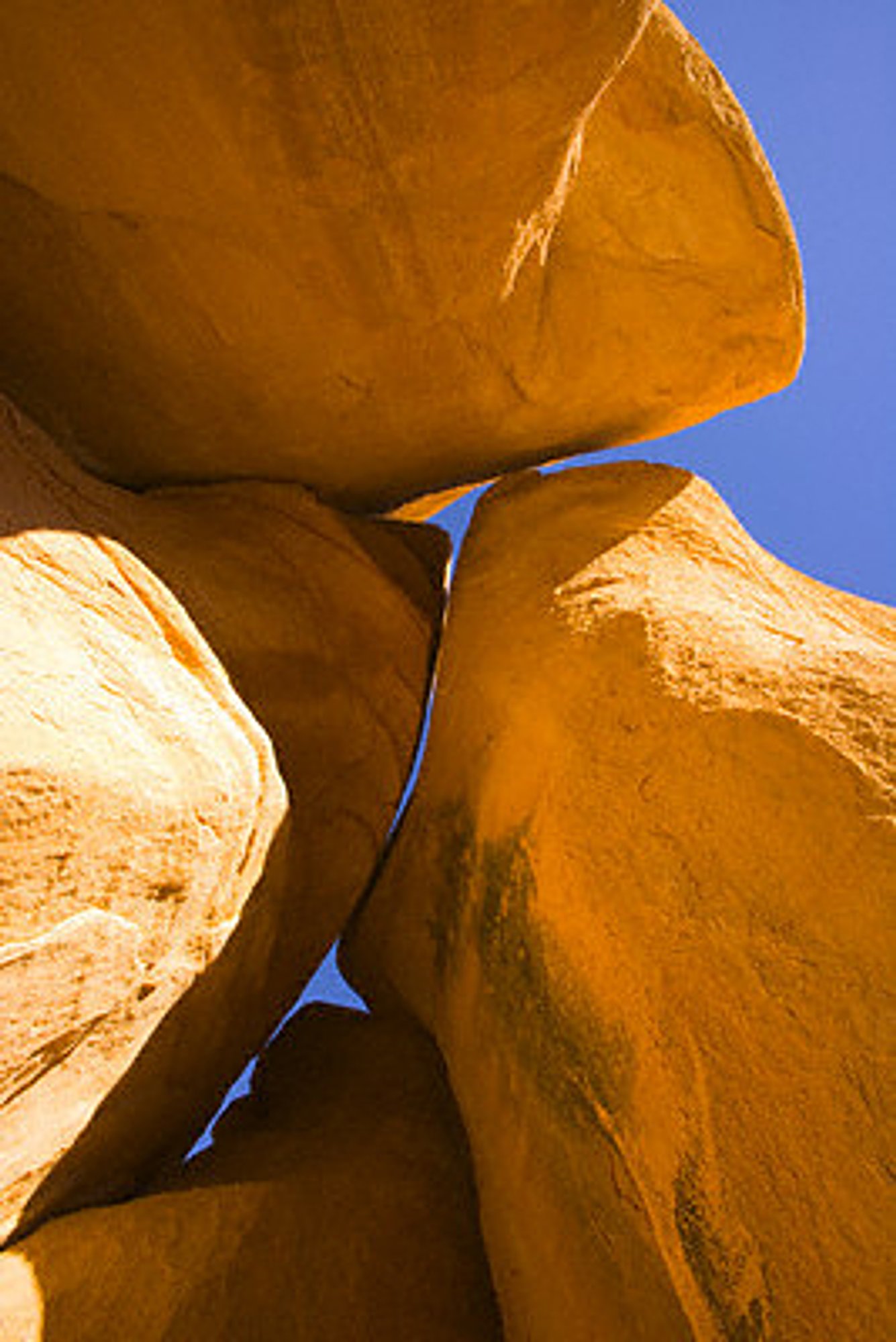 Akmuo verslininkui – neišsemiama tema - Delfi gyvenimas