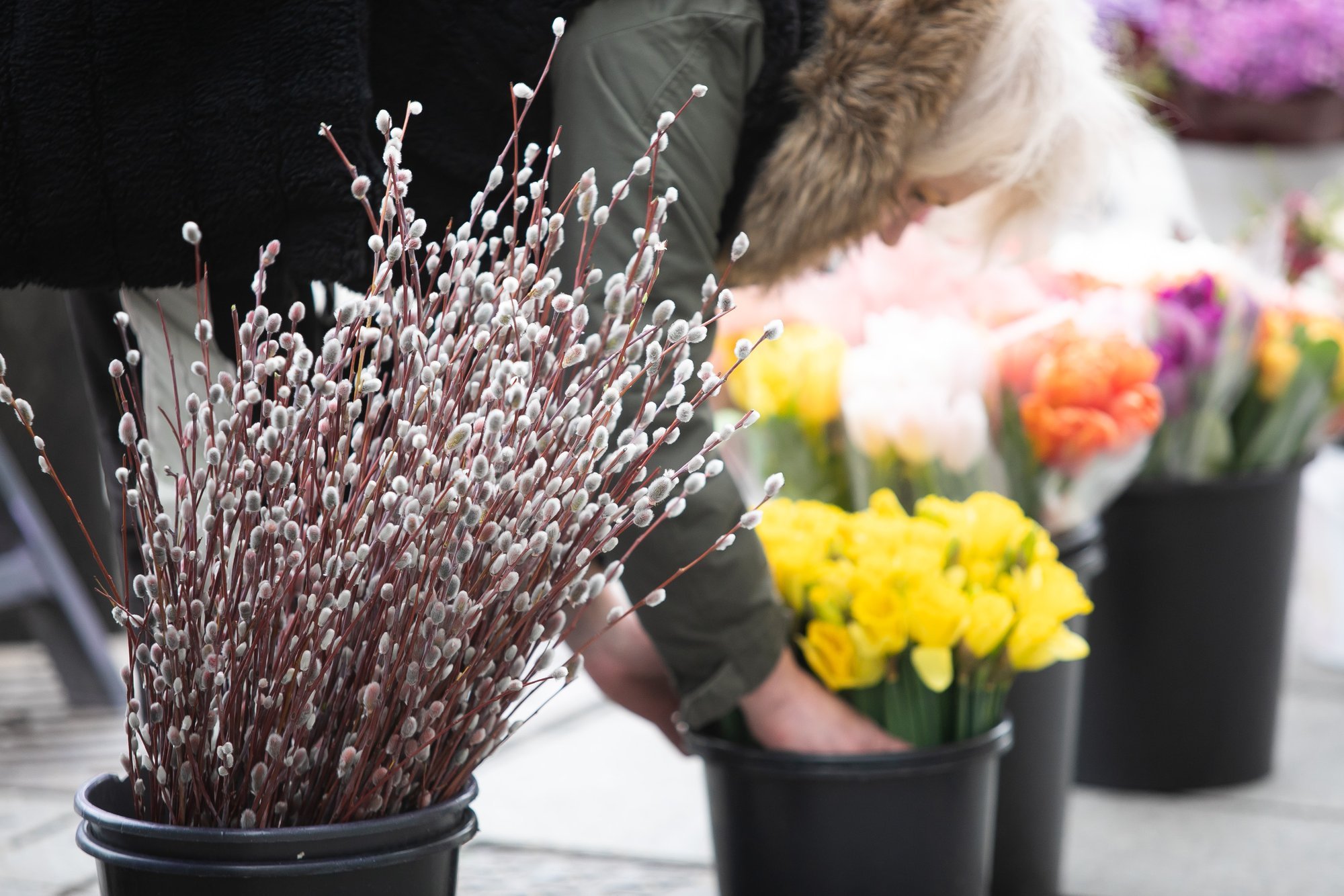 Pavasaris Lietuvoje neužsibus: netrukus lauks orų permainos - Delfi