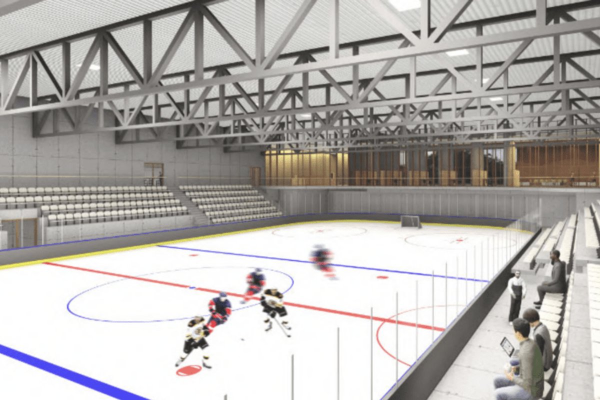 Naujininkuose kils Vilniaus ledo arena: pristatyti projektiniai ...