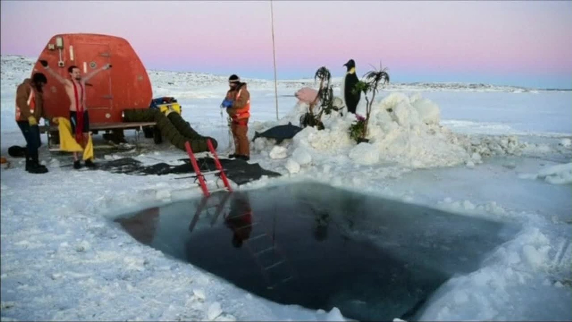Saulėgrįža Antarktidoje pasitikta maudynėmis lediniame vandenyje - Delfi TV