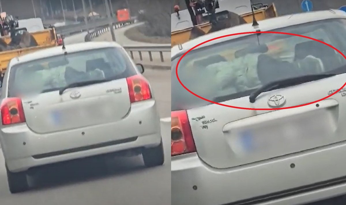 Kaip saugiai vežti vaikus automobilyje: pagrindinės taisyklės - Delfi auto
