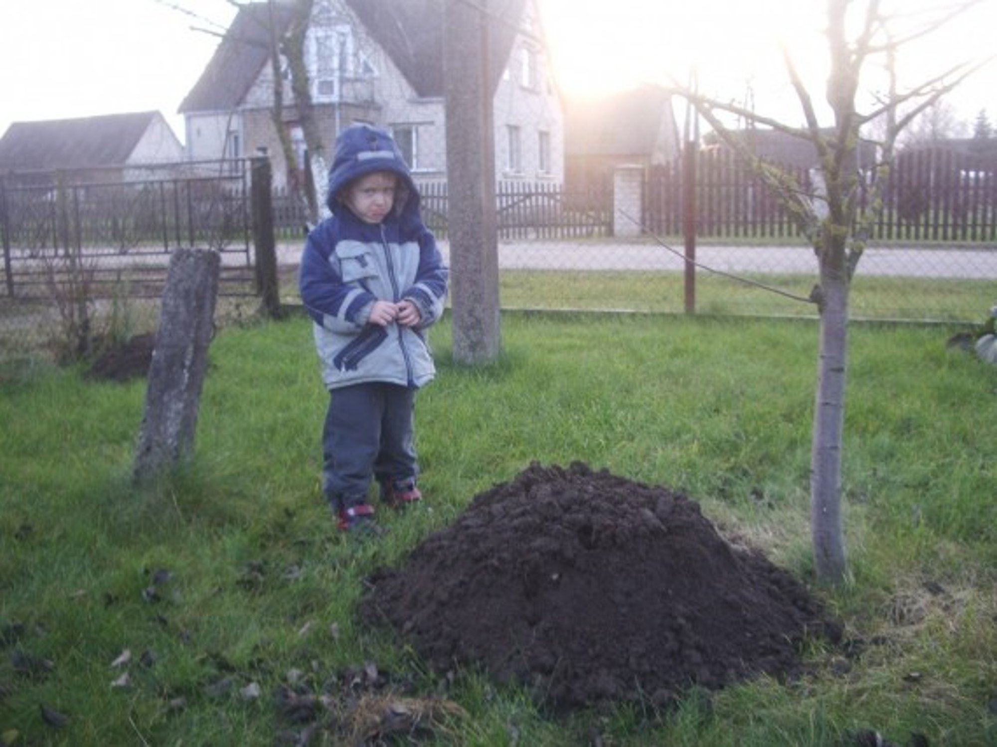 Ir kurmiai prieš žiemą savo namus valo - Delfi kartu