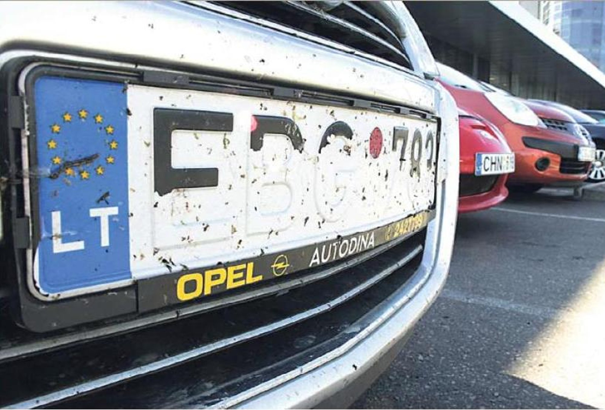 Automobilio numeriai su E raide – vis dar bėda - Delfi auto