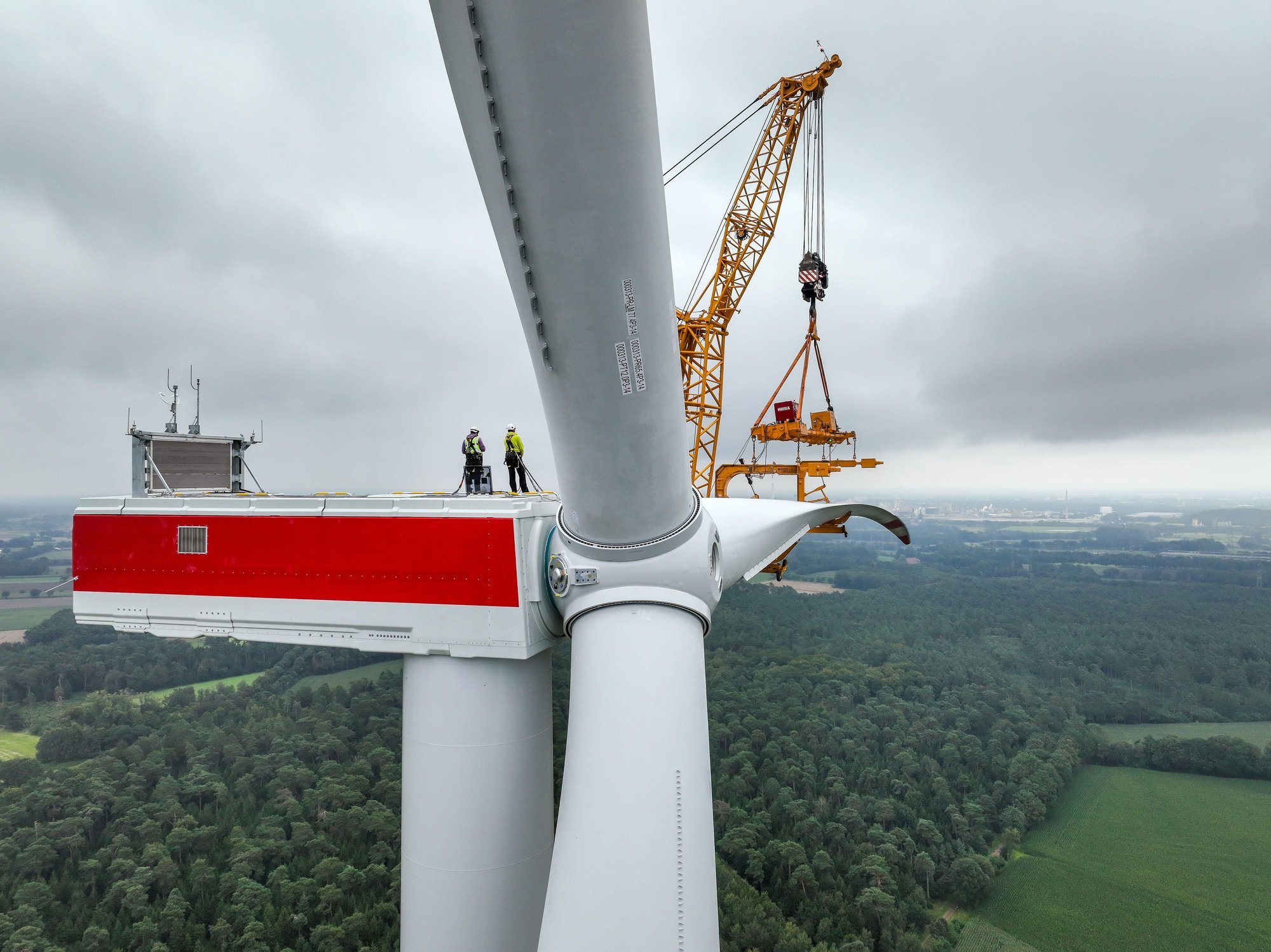 Vėjo energija vaduojasi iš biurokratijos - Delfi verslas