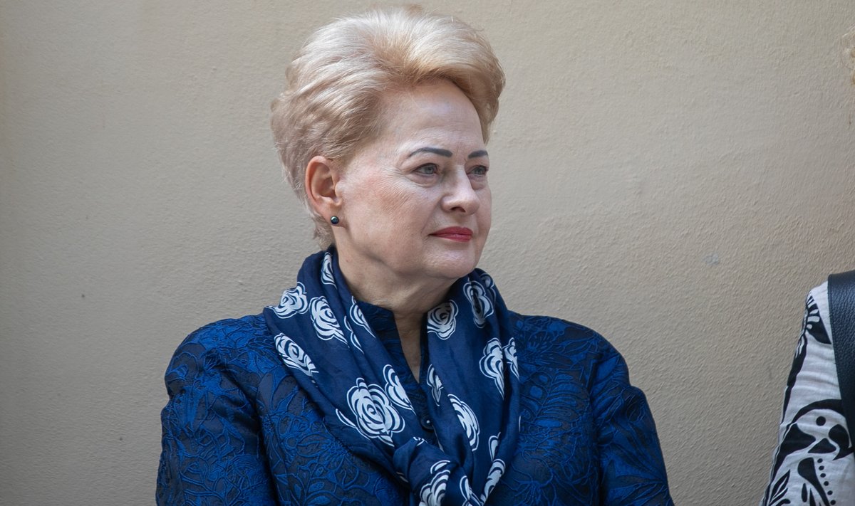 Грибаускайте: мир шагнул в опасный период - Delfi RU