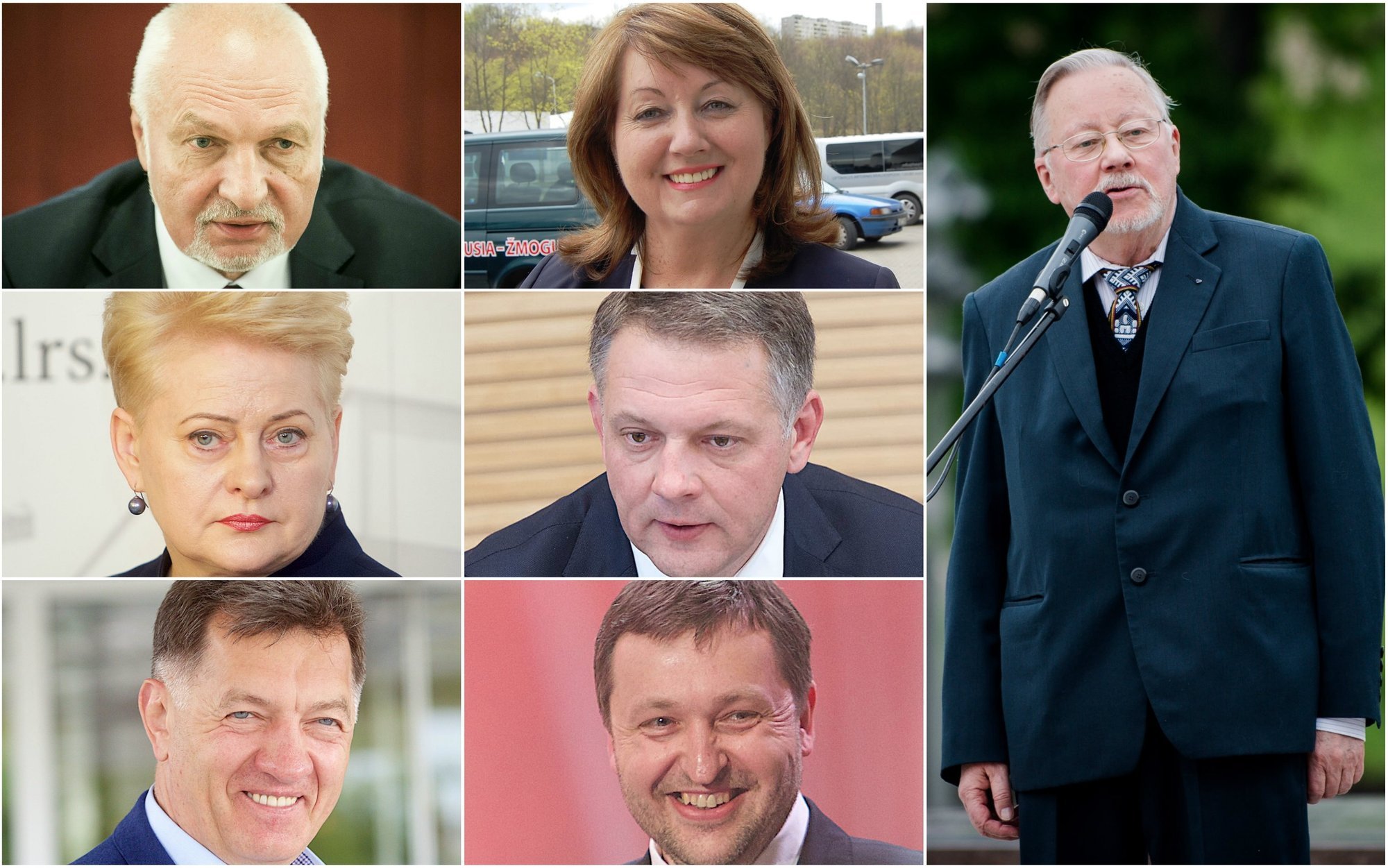 Lithuania's most influential politicians - Delfi EN