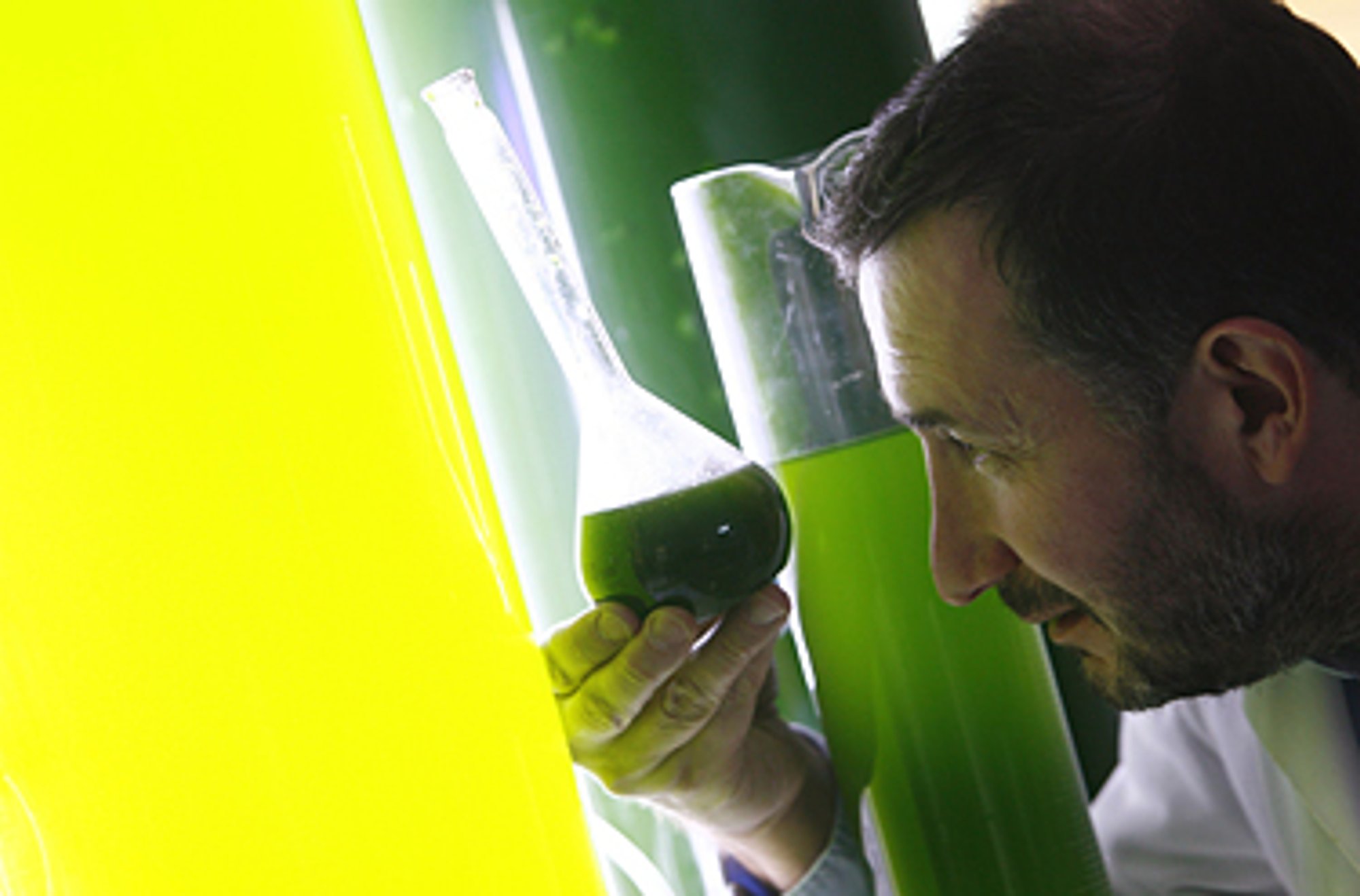 Plastikiniai indai gali gadinti eksperimentų rezultatus - Delfi mokslas