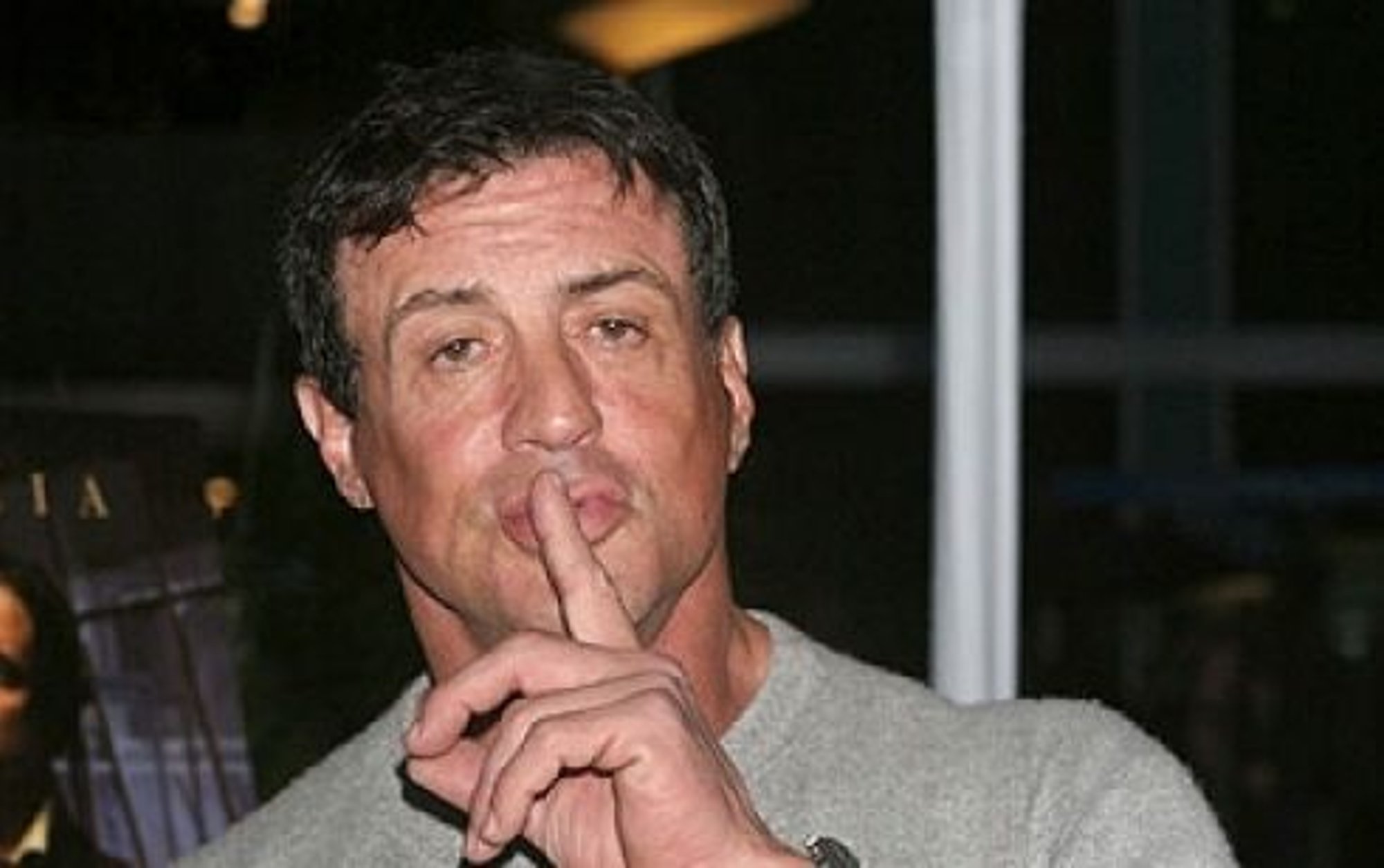 S. Stallone vėl ėmėsi filmų kūrimo - Delfi veidai