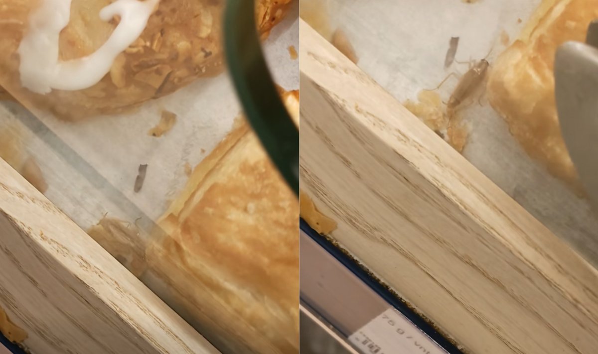 Vaizdas vienoje parduotuvių nemaloniai nustebino: tarp bandelių ...