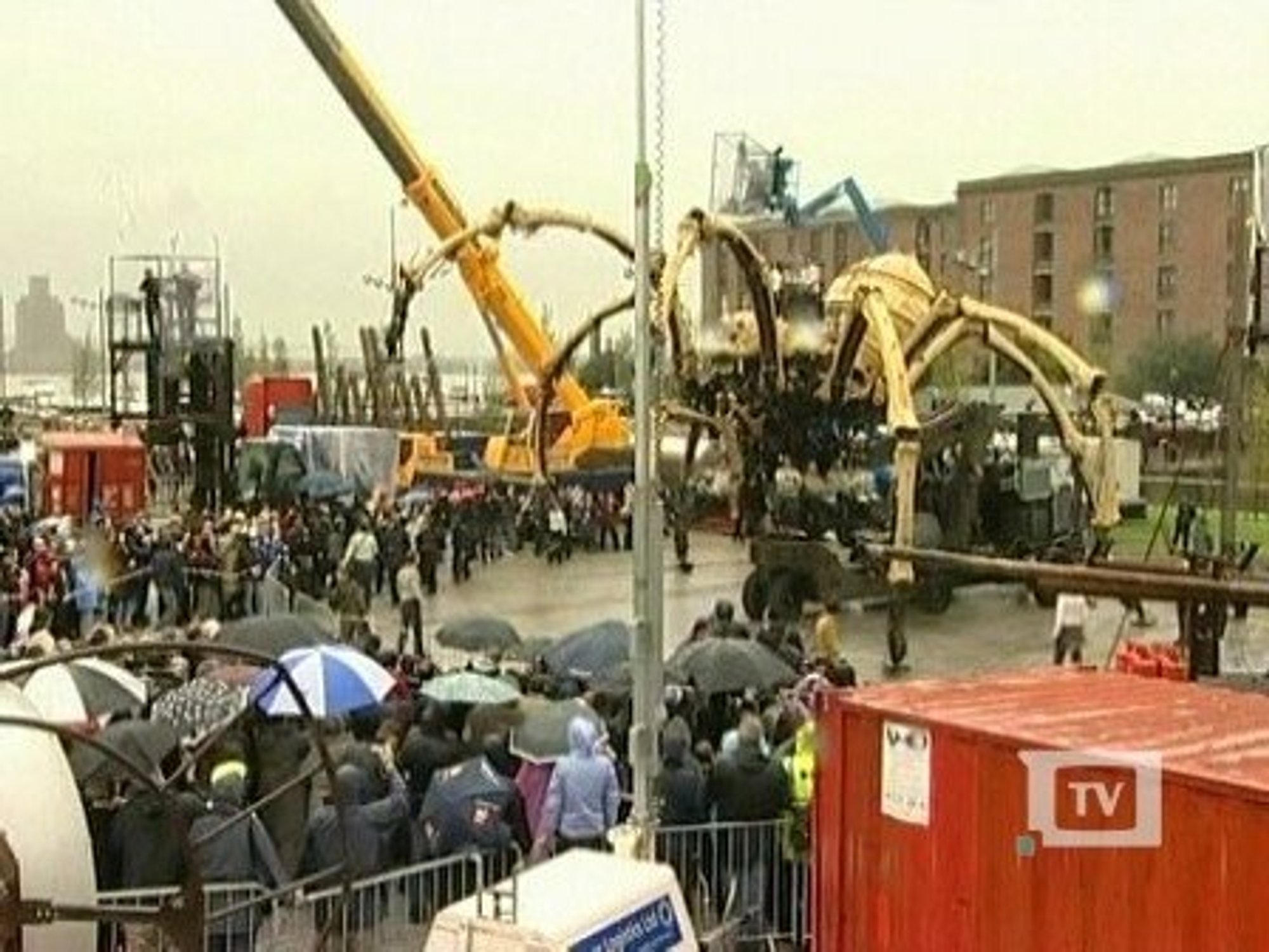 Liverpulio gatvėmis ropojo milžiniškas voras - Delfi TV