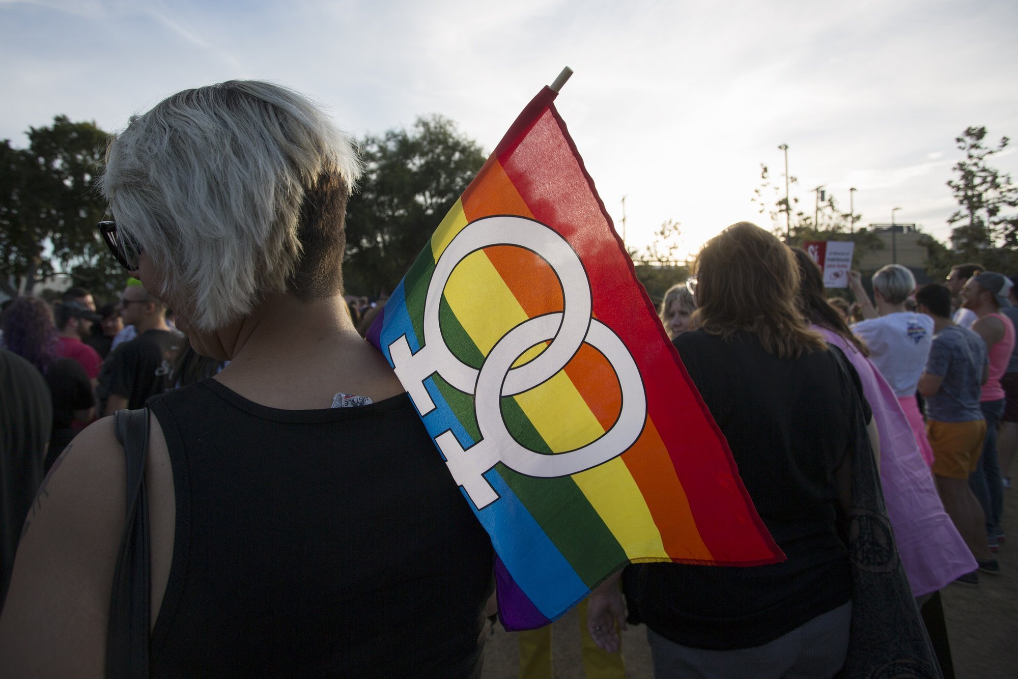 Planuojama pateikti pataisas, kurios įteisintų homoseksualių asmenų ...