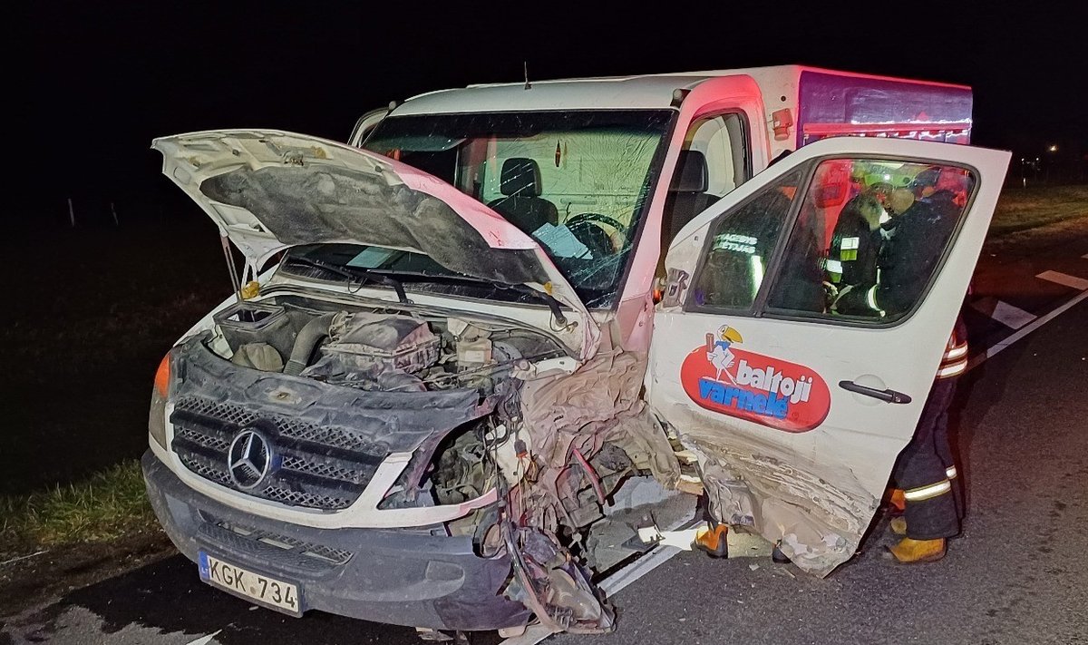 Panevėžio rajone per avariją nukentėjo moteris - Delfi