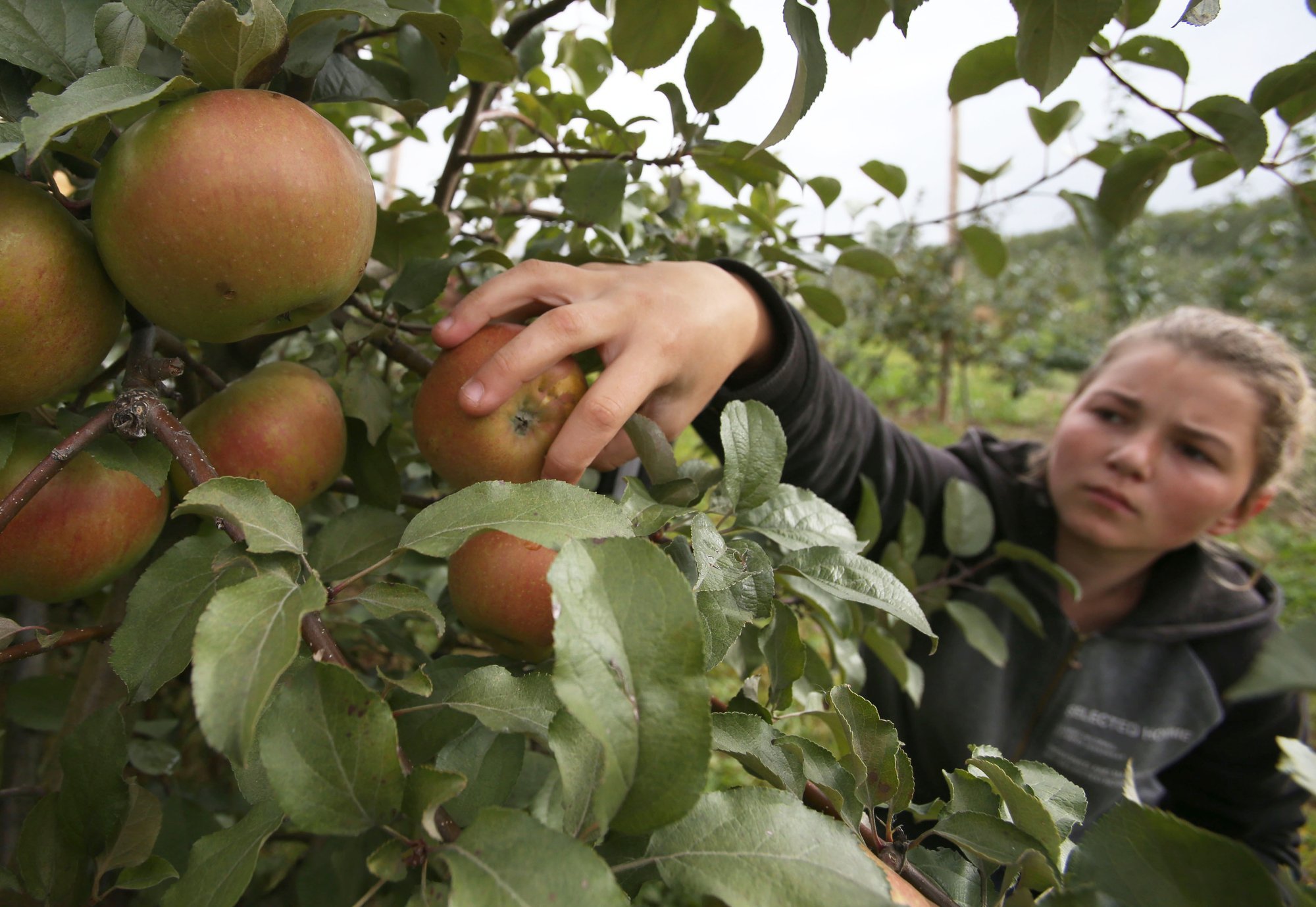 Baltarusių studentams – priverstinis darbas kolūkiuose - Delfi