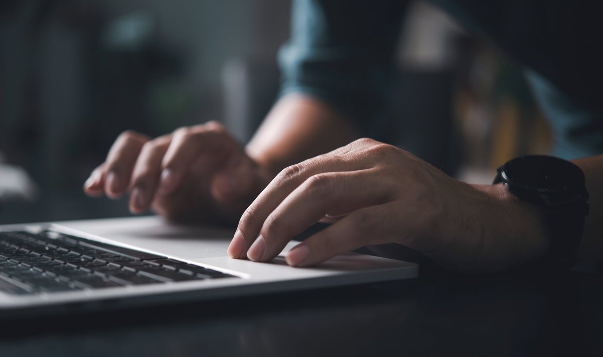 Lietuvos apžvalga: kurios viešosios paslaugos praktiškai 100 proc. teikiamos internetu - Delfi ...