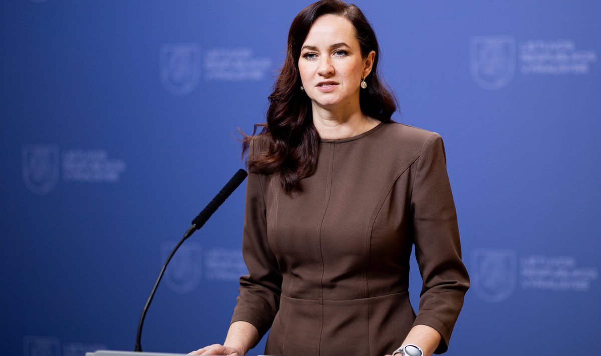 Į Ruginienę kreipėsi 25 asociacijos, kultūrininkai nusivylę - Delfi