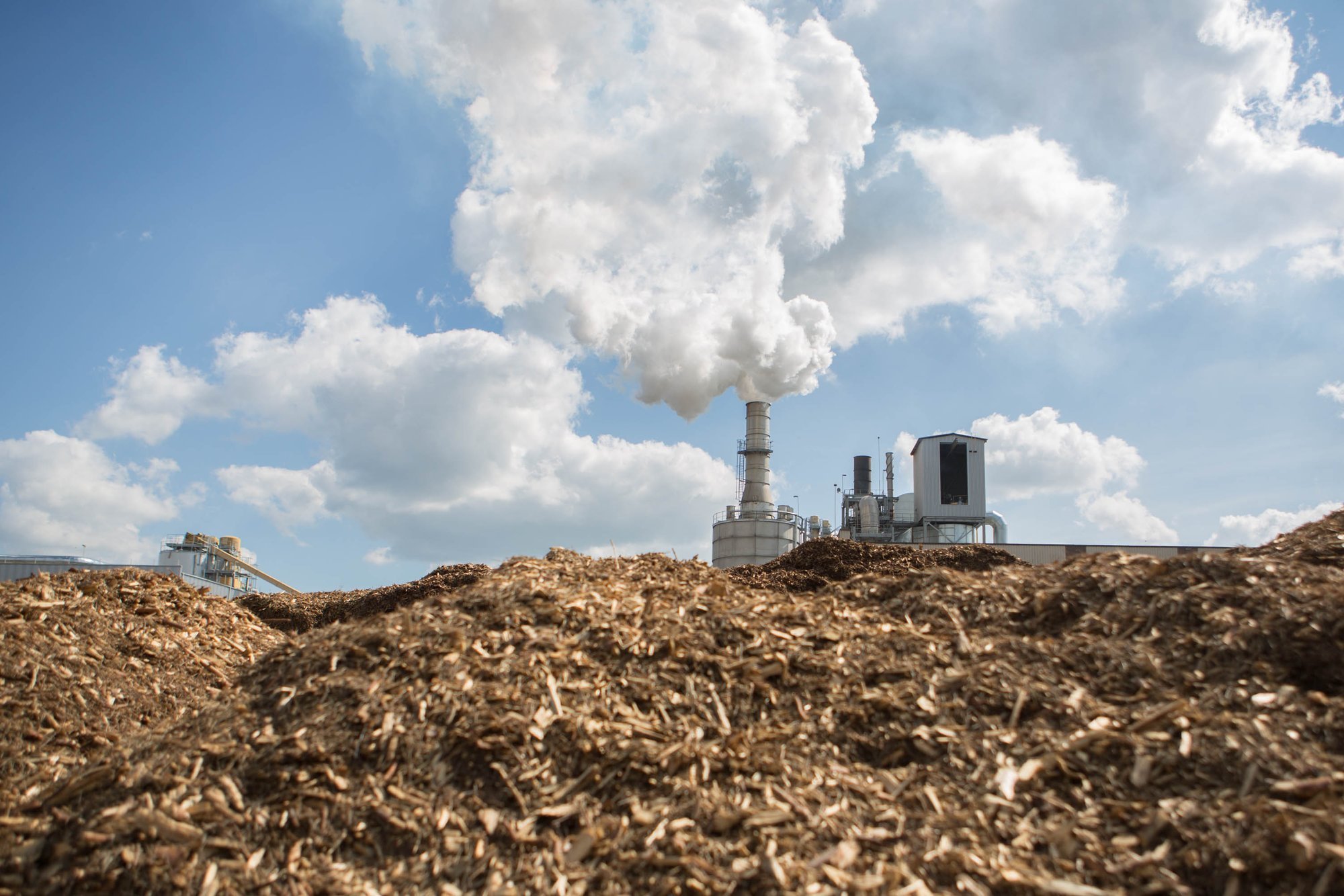 Baltpool: biofuel prices down by nearly a third - Delfi EN