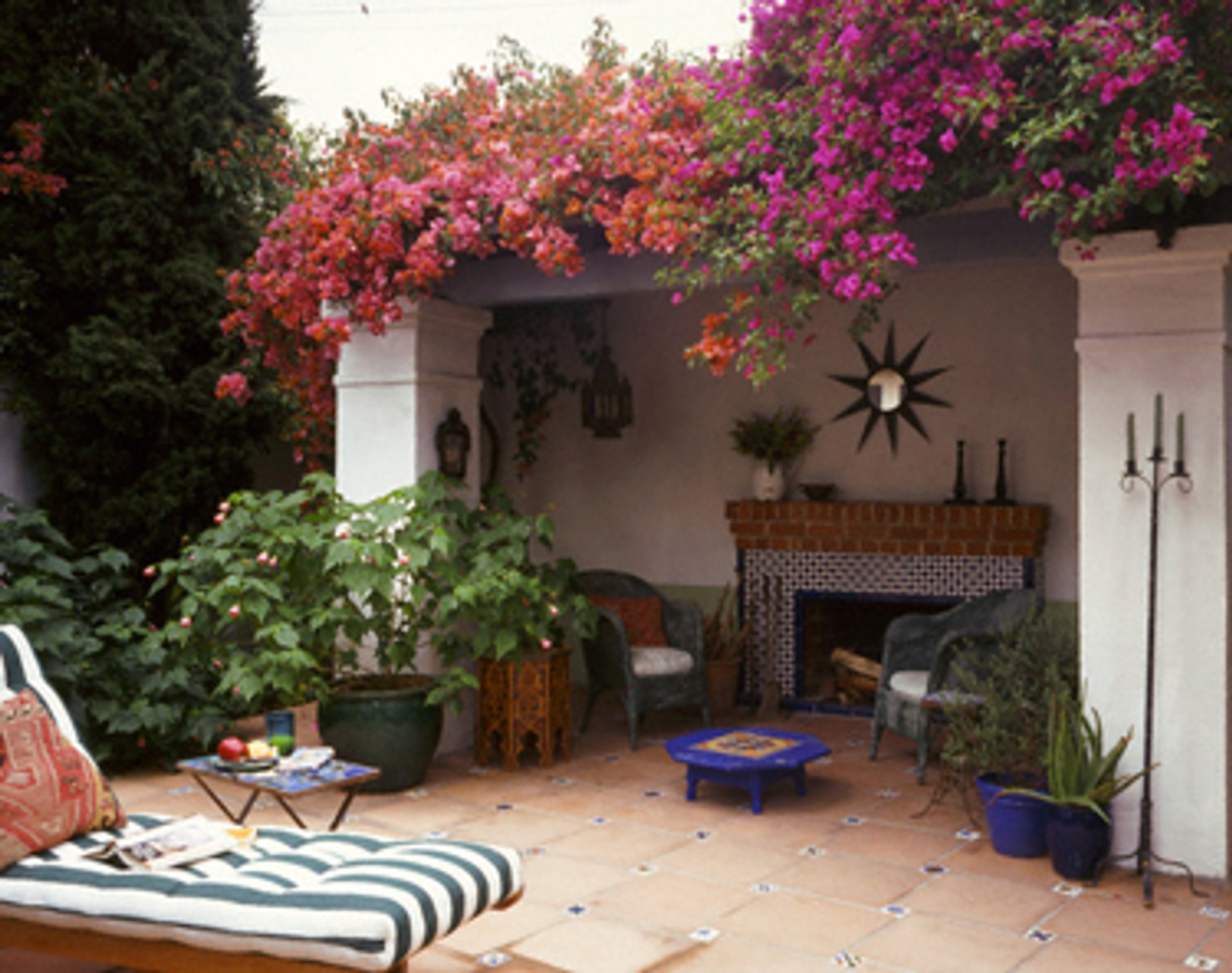 Gėlynas ant stogo - Delfi gyvenimas