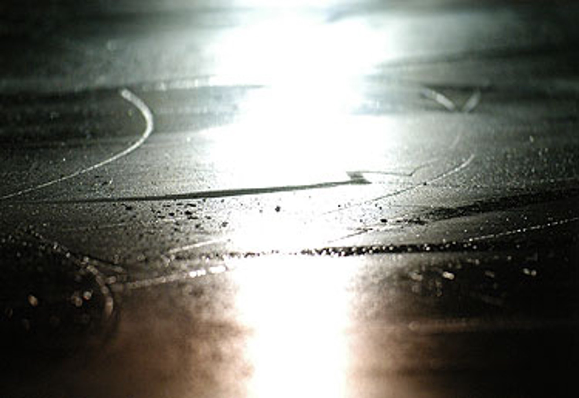 Ledas įžiebė meilės kibirkštį - Delfi gyvenimas