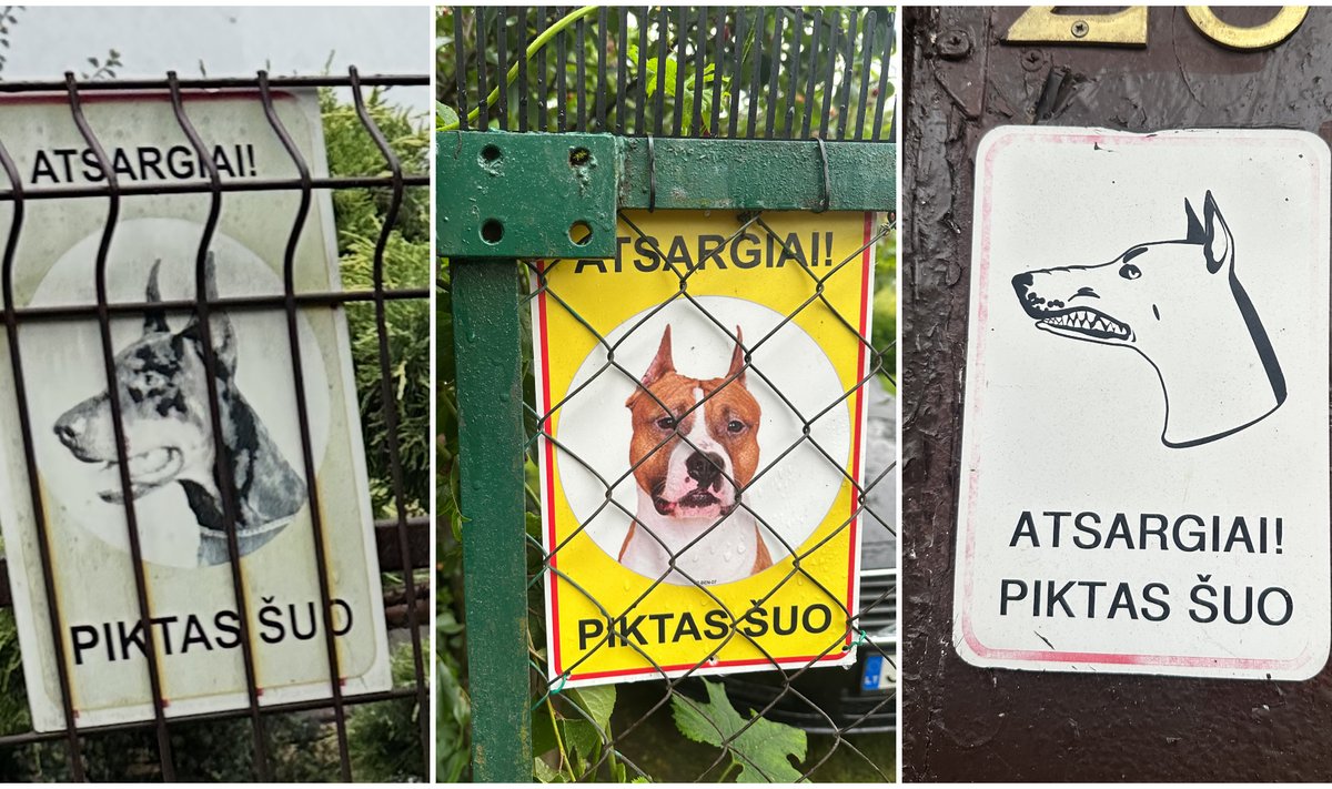 „Piktas šuo“: dėl šio ženklo internete kilo diskusija - Delfi būstas