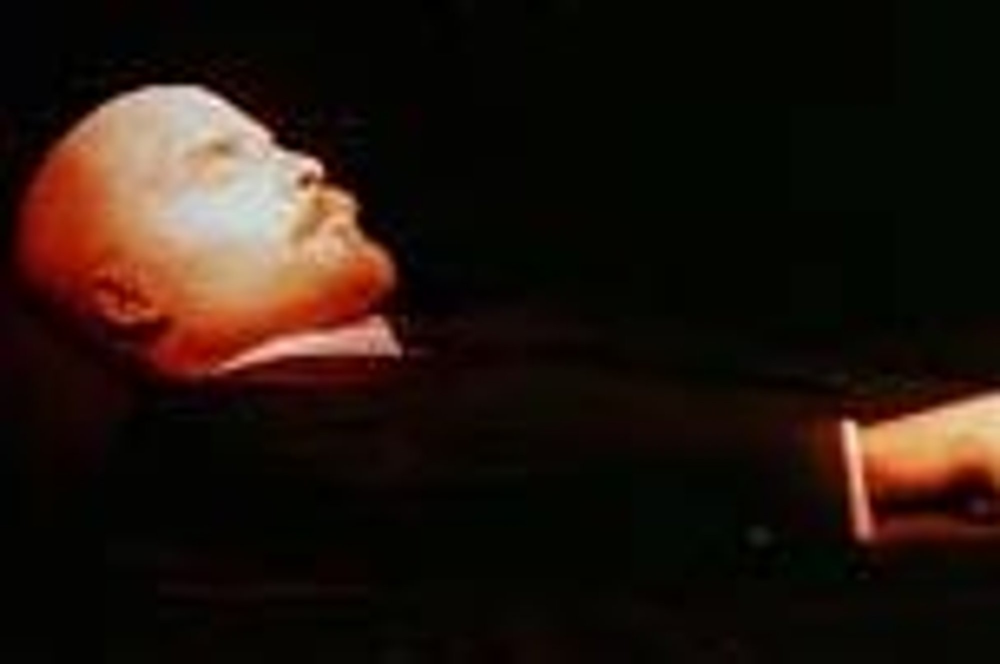 Putinas - valdžioje, Leninas - mauzoliejuje - Delfi