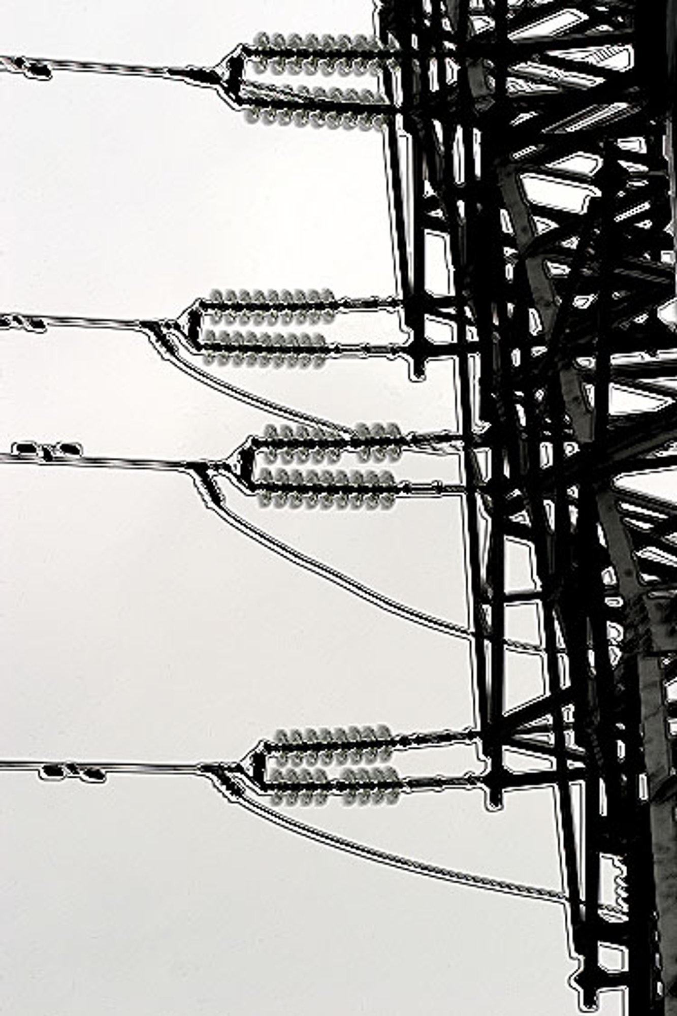 Marijampolės r. pavogti elektros stulpai - Delfi