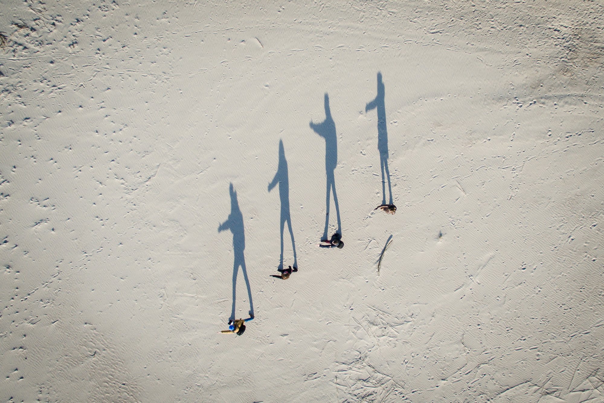 Slaptas turtuolių klubas: jų žinioje – stulbinami projektai - Delfi ...