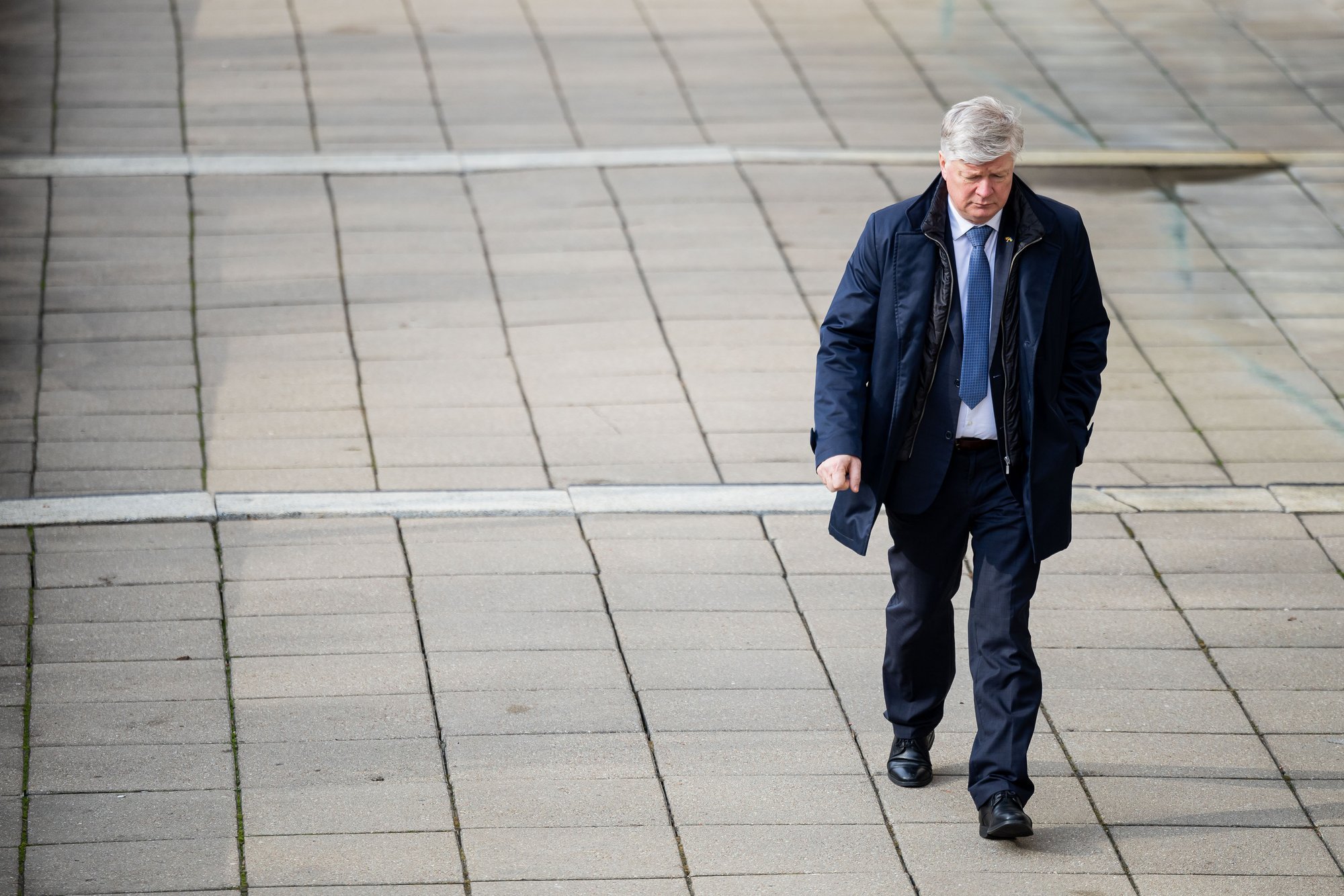 Navickas: dėl daugiamečių pievų atkūrimo būtinas kuo skubesnis ...