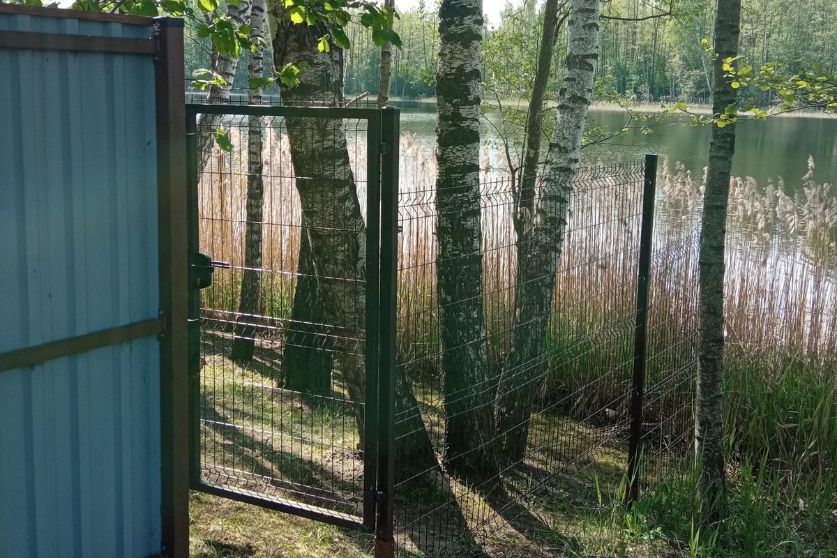 Patikrinę ežero pakrantes rado pažeidimų: kai kurie jų – itin dažni ...