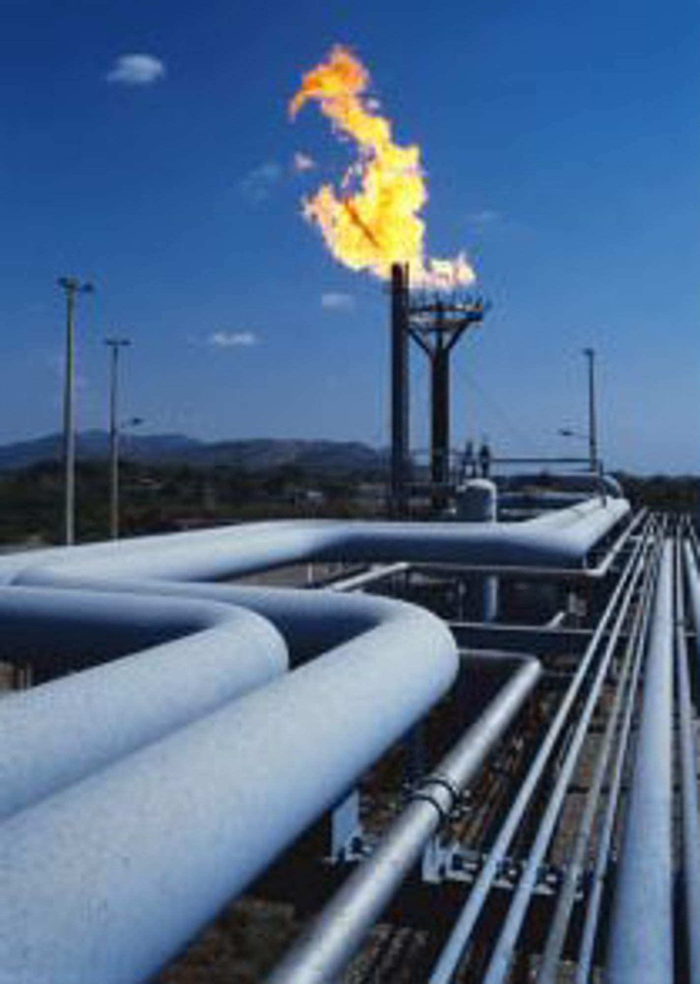 Ar “Lietuvos dujos” yra nestrateginė įmonė? - Delfi