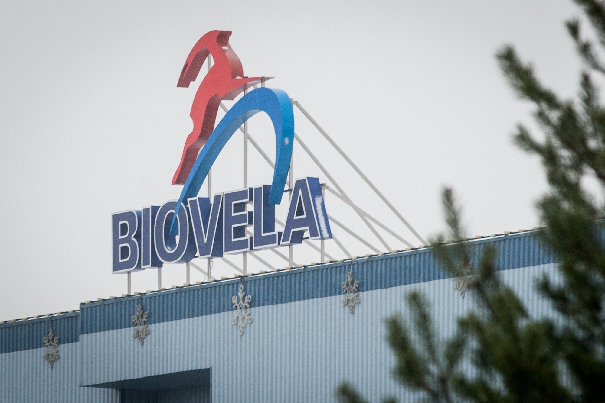 „Biovela Group“ į JAV mėsos produktus siunčia reguliariai - Delfi verslas