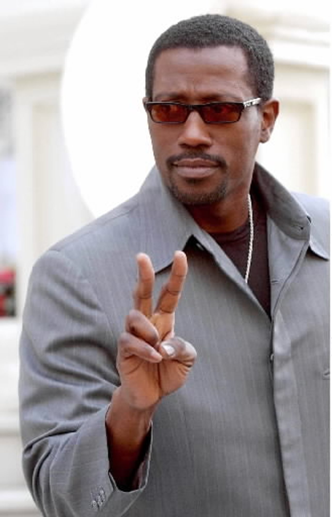 Aktoriui Snipesui nebus panaikintas arešto orderis - Delfi veidai