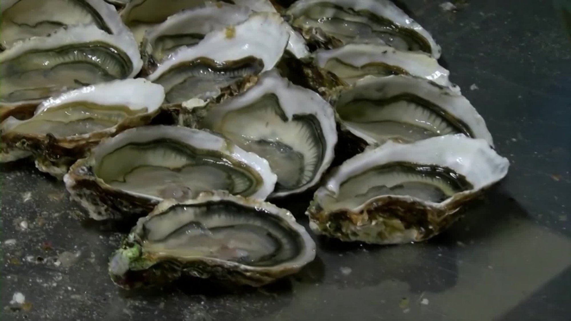 Austres auginantis prancūzų ūkininkas vagis atgraso netikėta gudrybe ...