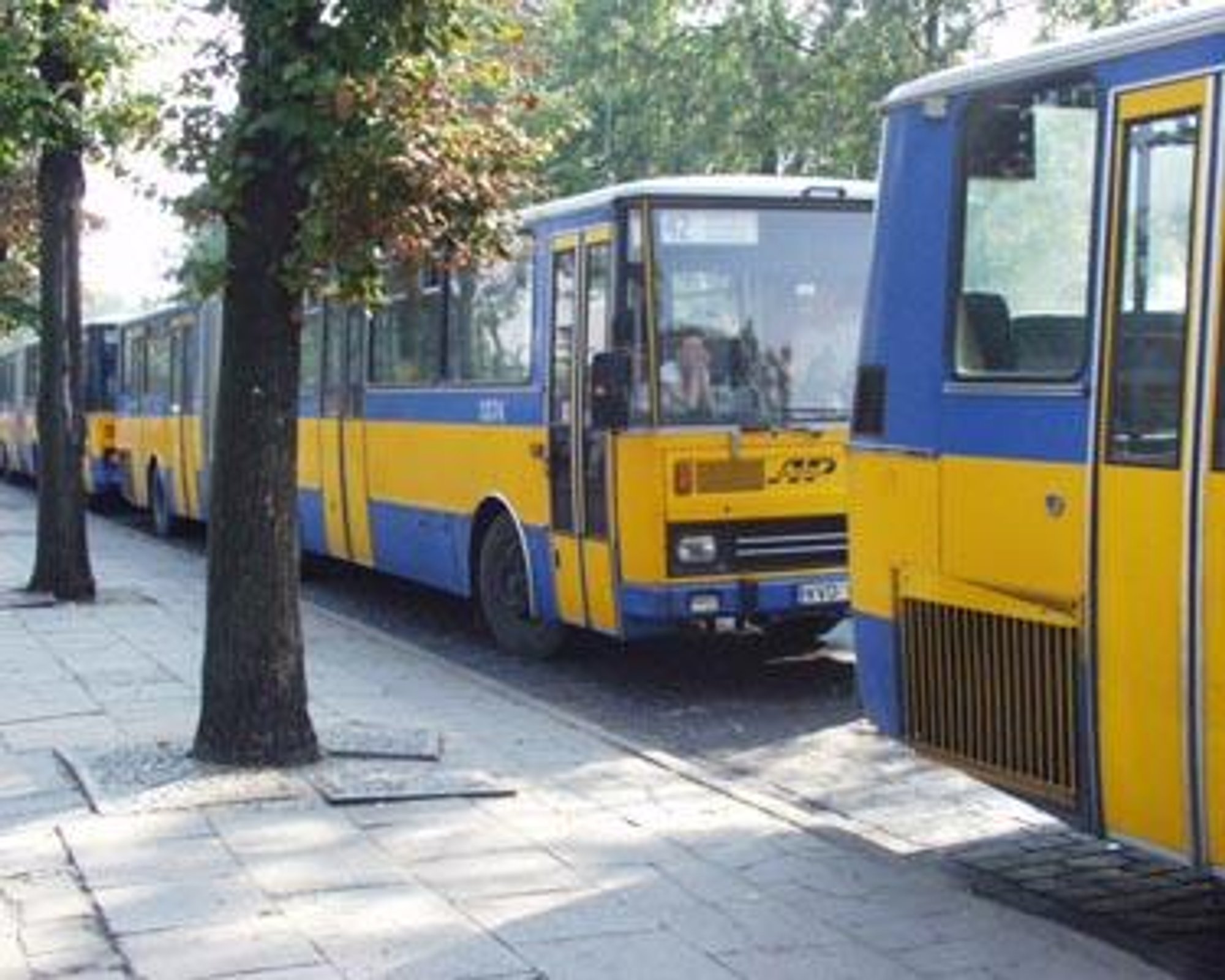 Vilniaus visuomeninis transportas – tikras pragaras - Delfi kartu