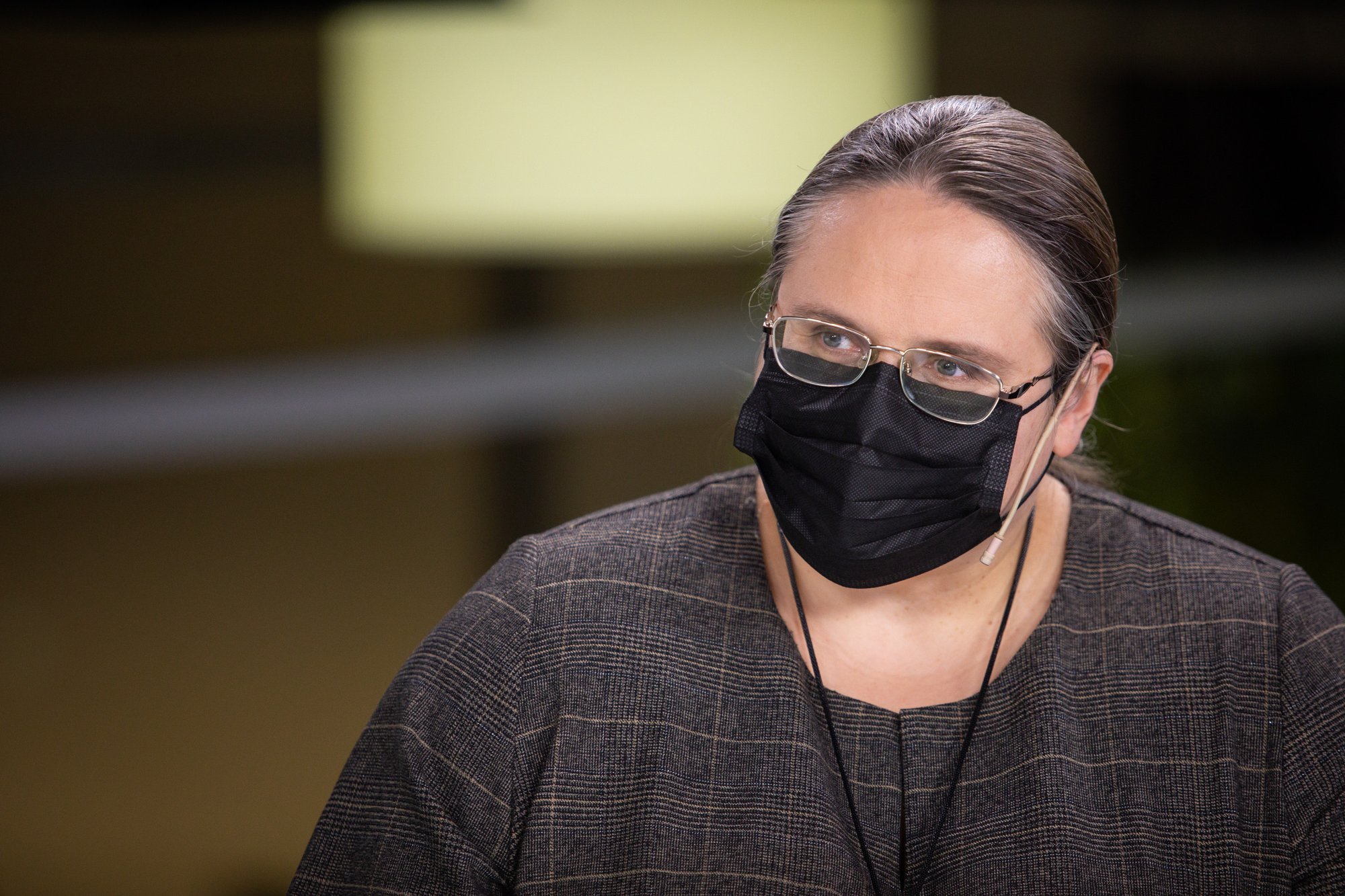 Širinskienė sureagavo į STT antikorupcinį įstatymo projekto vertinimą ...