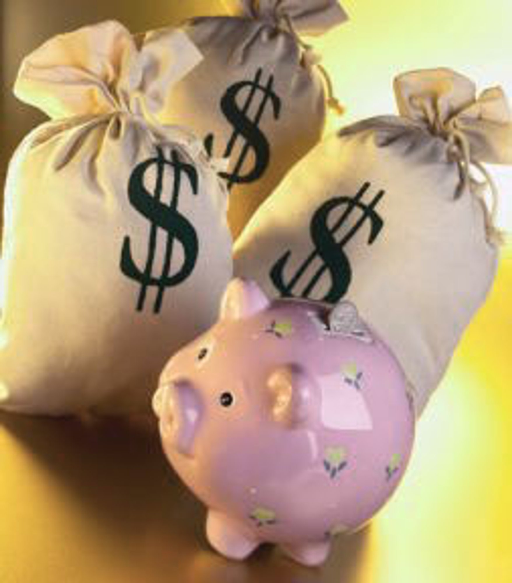 Taupomasis bankas bus parduotas "Hansabank" - Delfi verslas