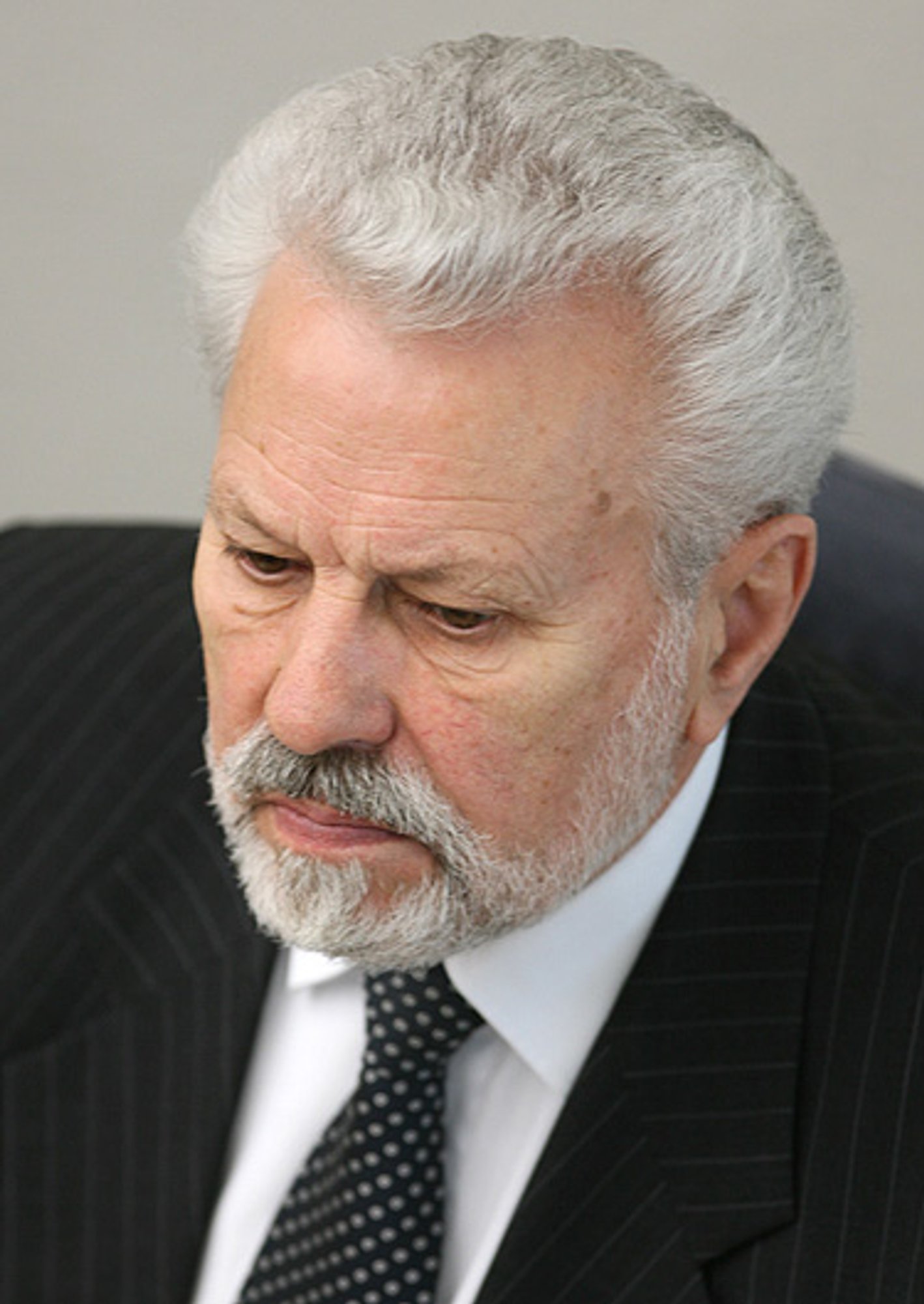 K.Lapinskas: kalbos apie Konstitucijos keitimą - dažnai be pagrindo - Delfi