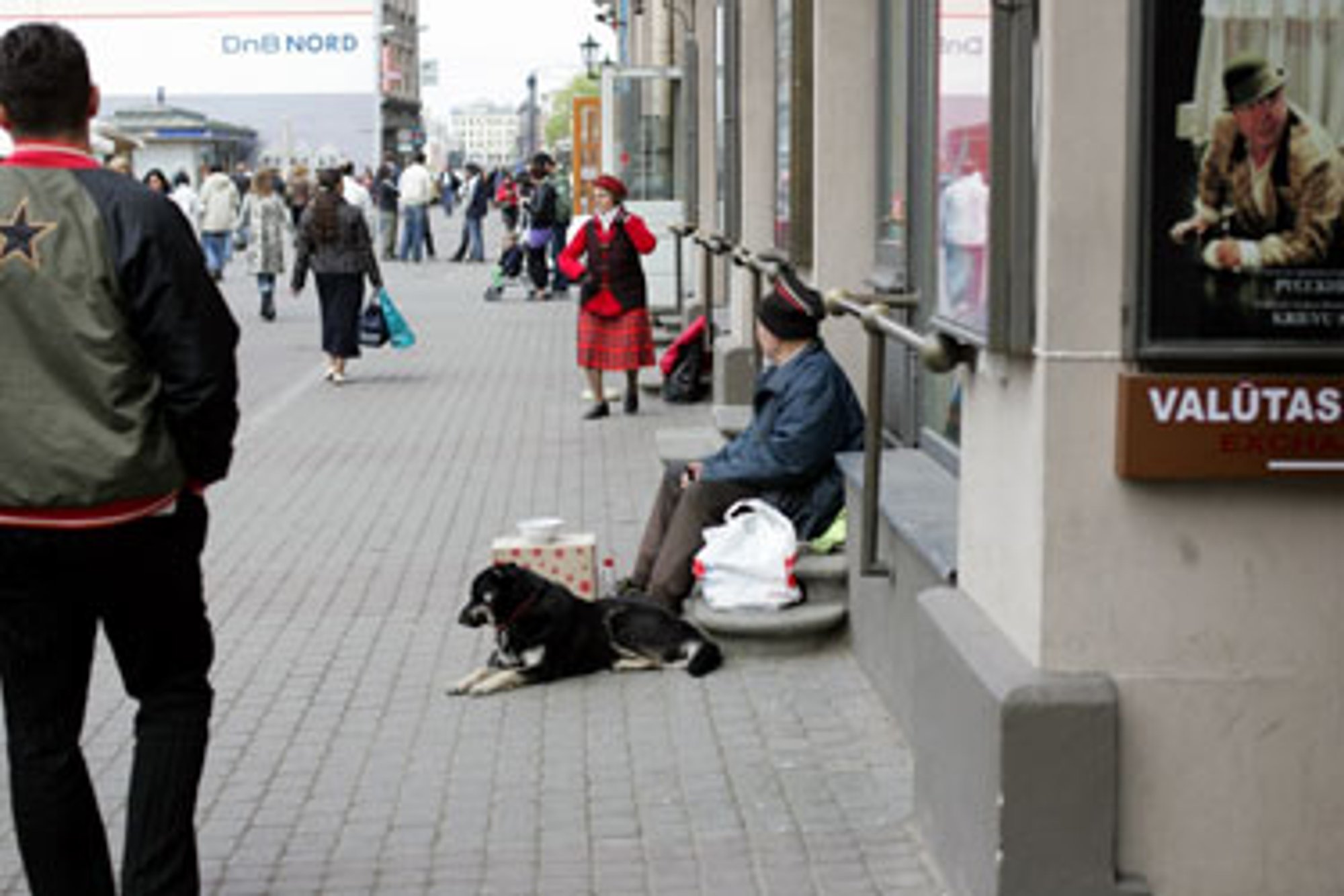 Elgetos ir benamiai - negyjanti žaizda - Delfi