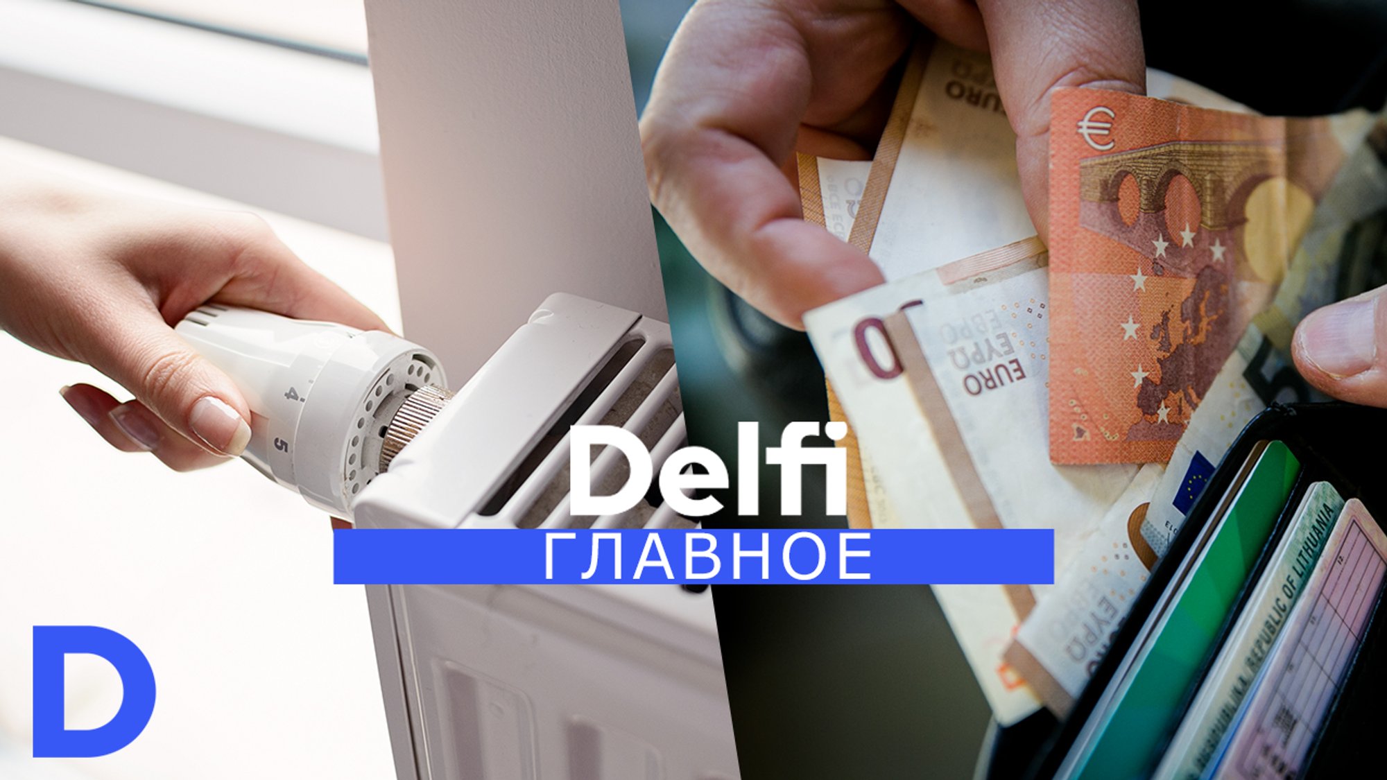 "Delfi. Главное": куда и почему растут цены в Литве, и каким может быть будущее Беларуси? - Delfi RU