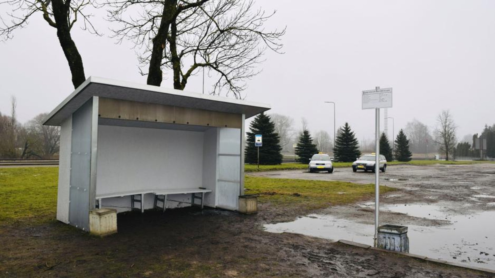 Kad važiuotų autobusu, plungiškiams reikia guminių batų: kaip kiaulės ...