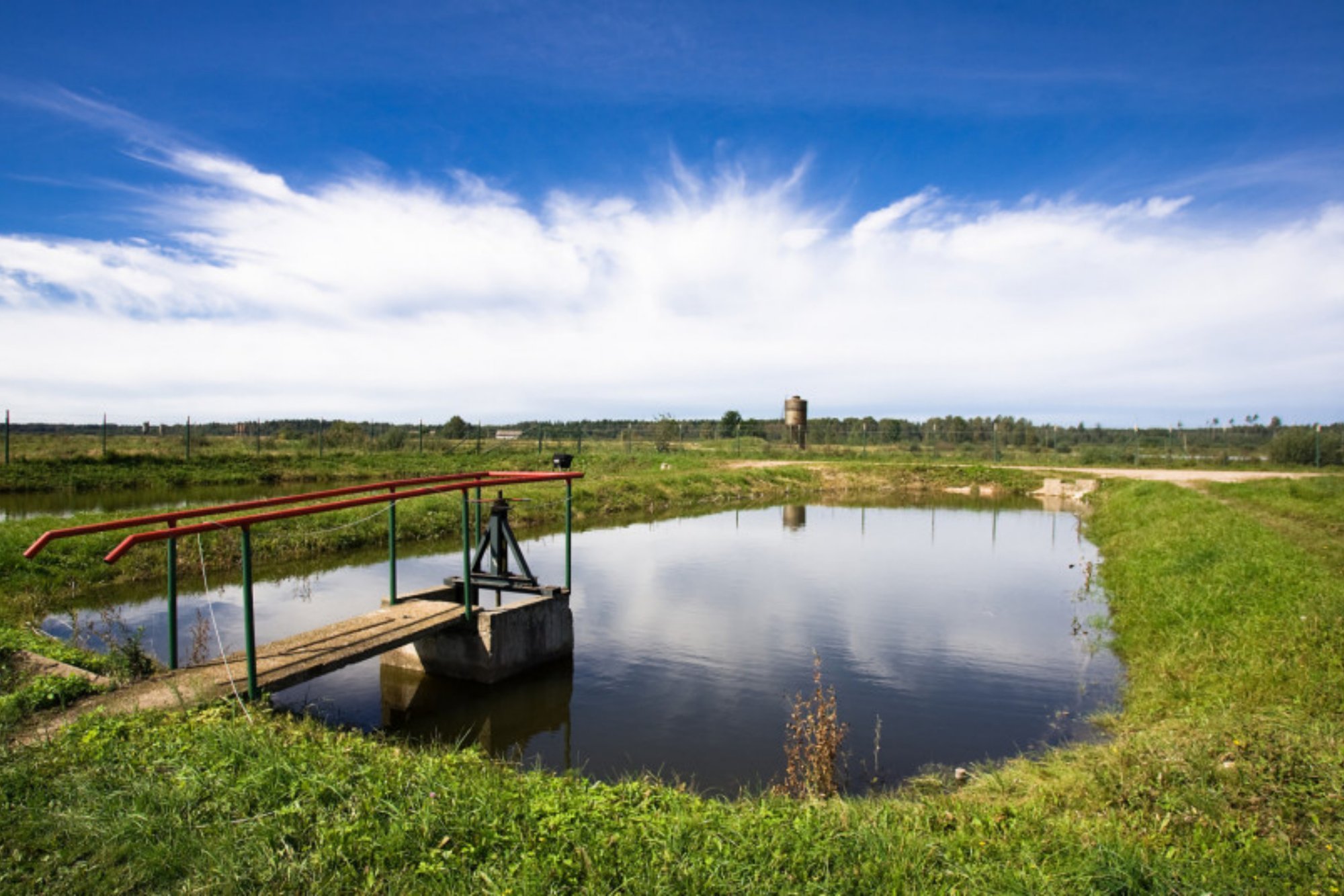 Kada ir kaip tvarkyti vandens telkinių pakrantes - Delfi agro