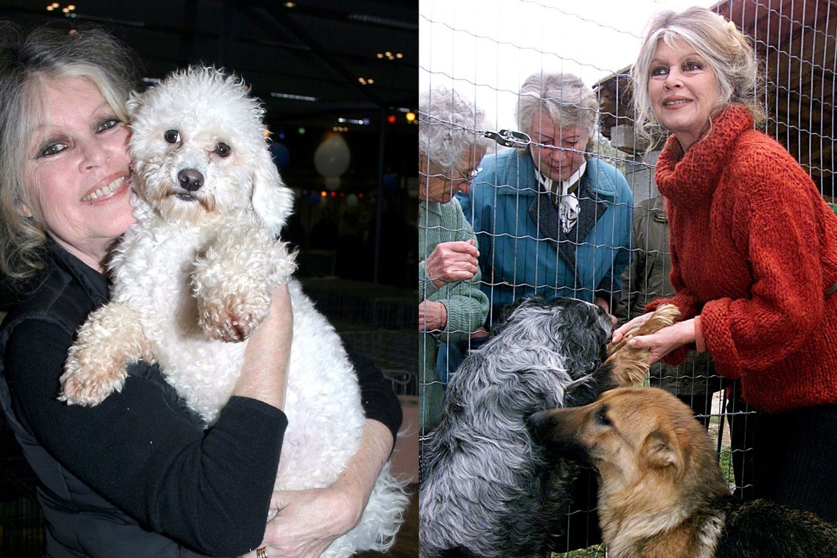 PETA įkūrėja pagerbė „gyvūnų angelą“ – velionę prancūzų aktorę Brigitte ...