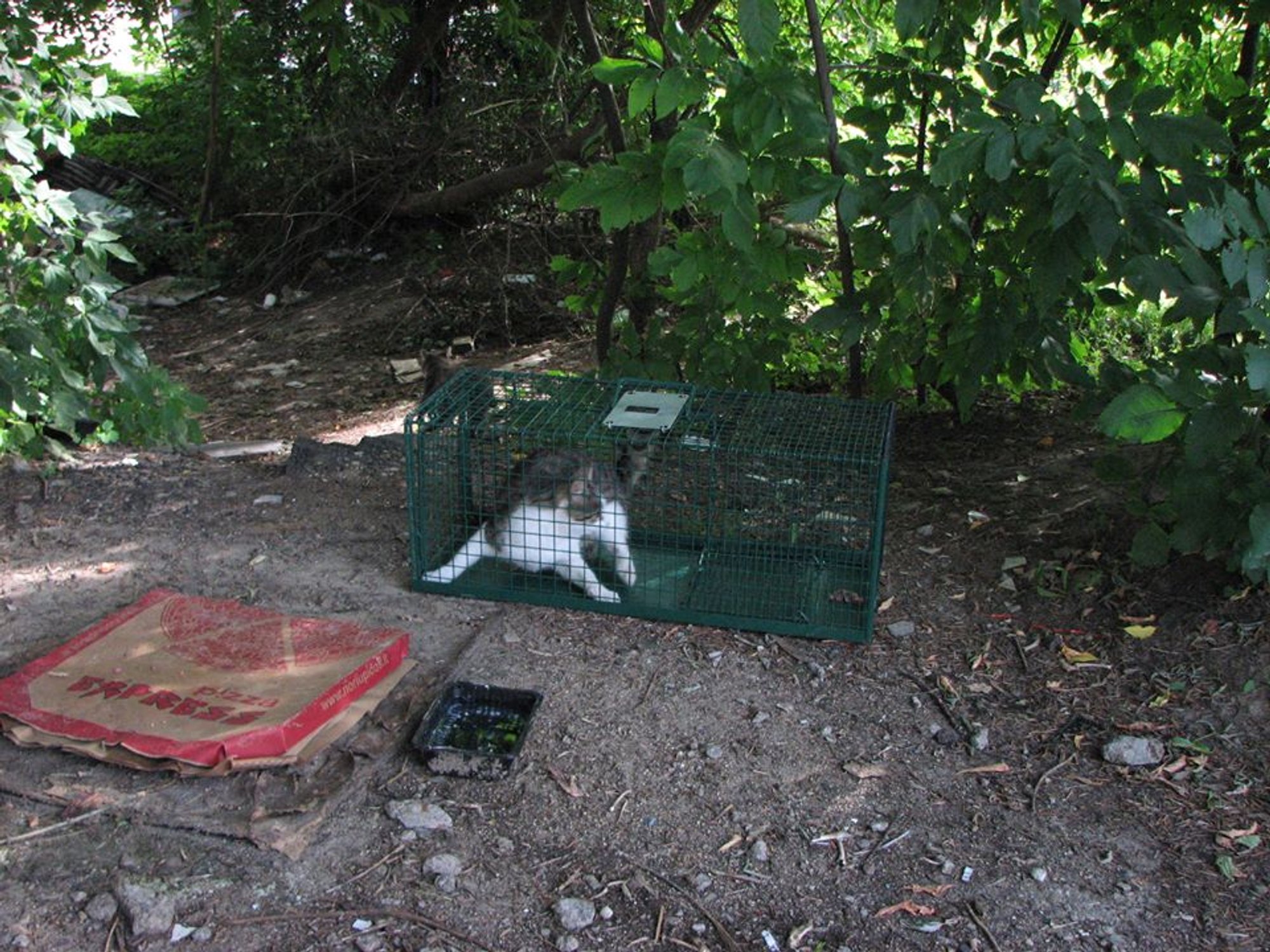 Skelbia bendro projekto pradžią: griauna mitus apie gyvūnų ...