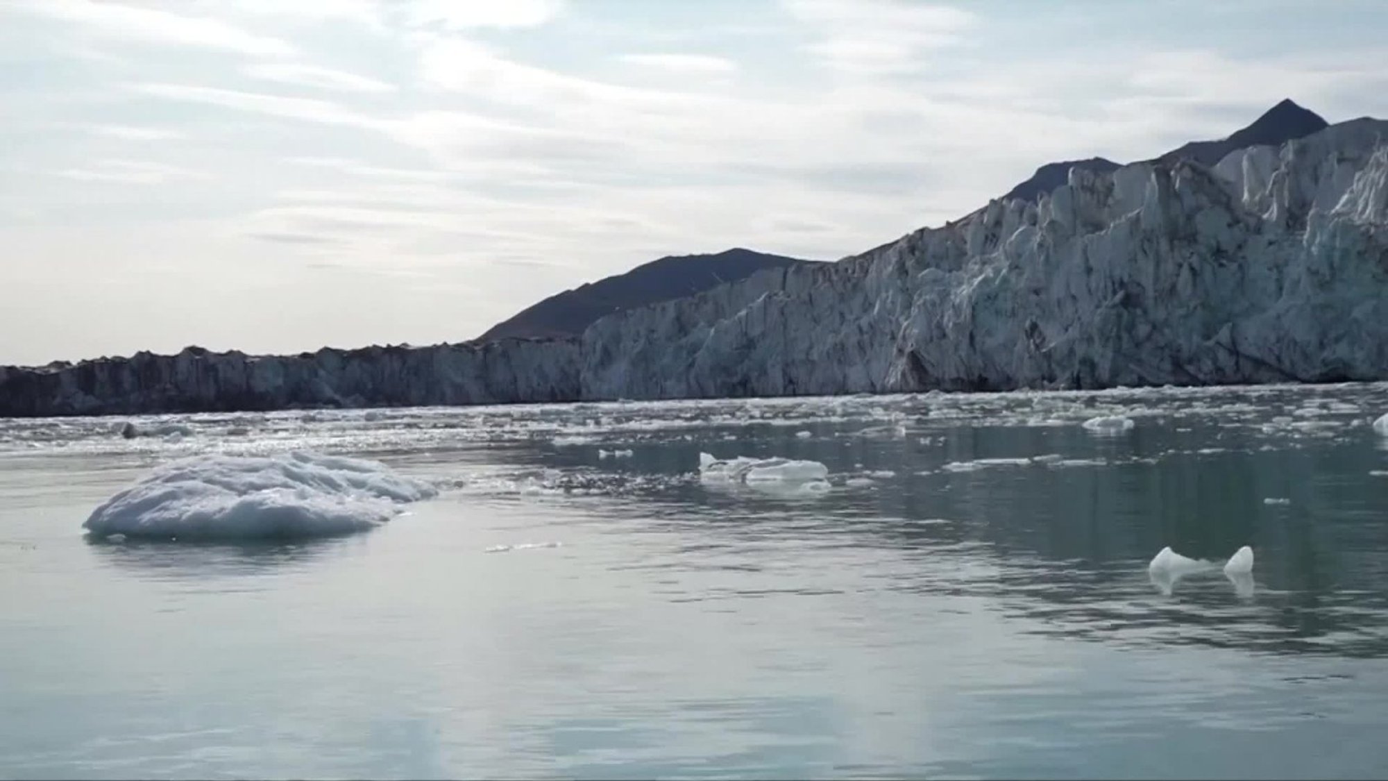 Tirpstantys Arkties ledynai – įspėjimas visai planetai apie klimato ...